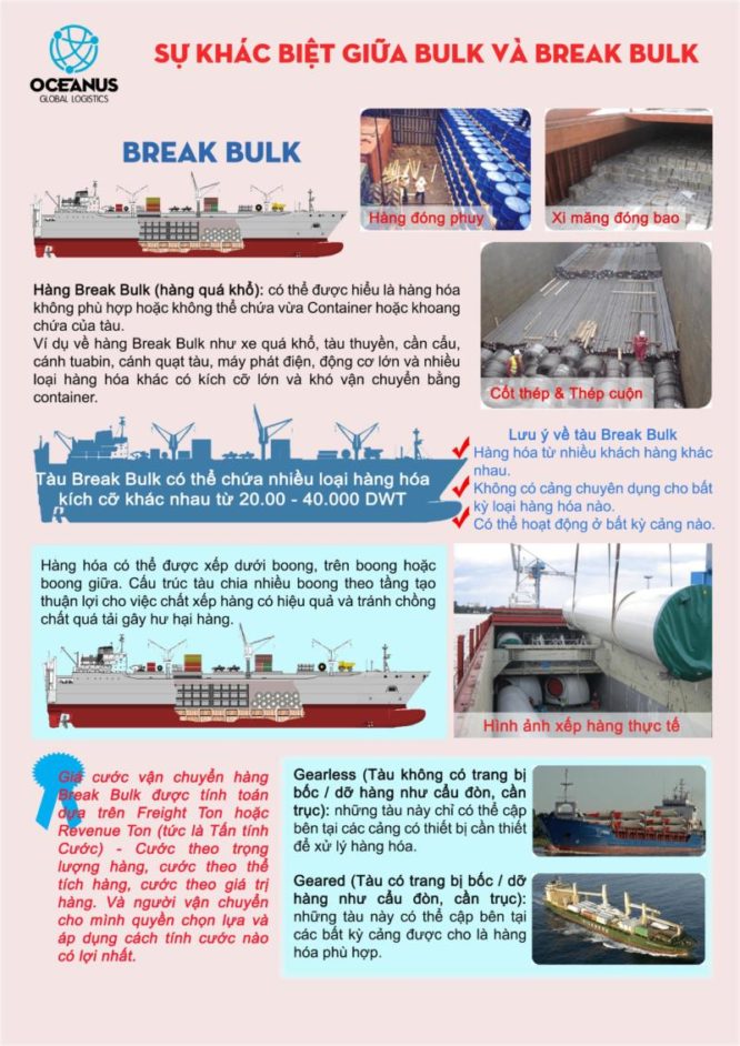 SỰ KHÁC BIỆT GIỮA BULK VÀ BREAK BULK - Oceanus Global Logistics Co.,Ltd